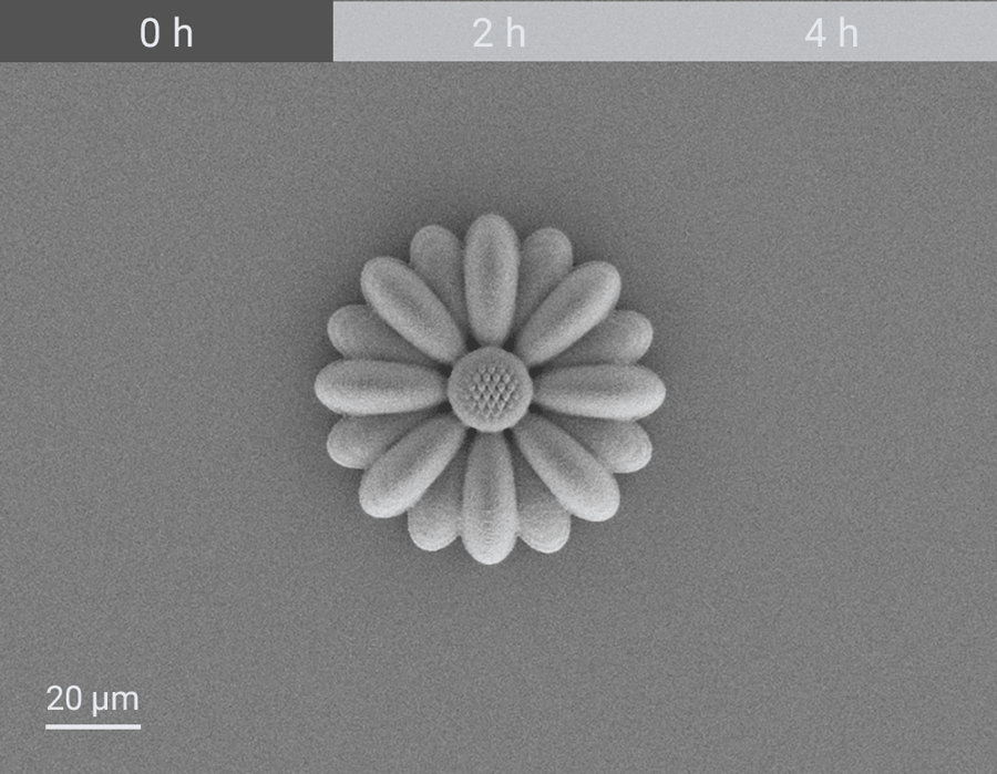 Functional resin development | Two-Photon Polymerization