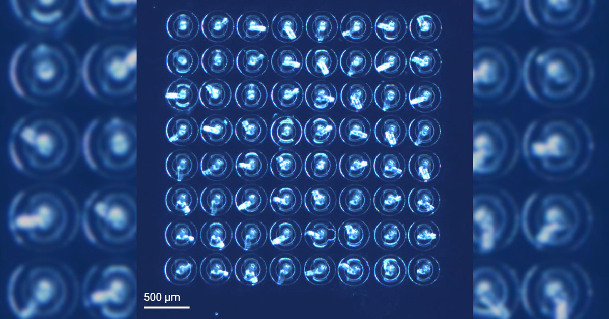 Wireless 3D microdevices by multi-step molding | Customer Success
